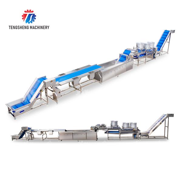 Quality vegetable drying equipment Fruit and vegetable selection washing and drying for sale