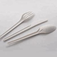 Quality Everyday Season Cutlery Set 100% Bio Degradable Compostable White Spoon Fork and for sale
