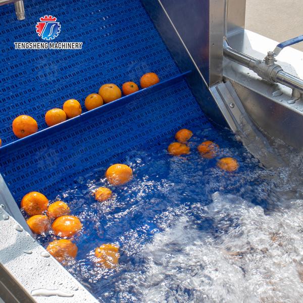 Quality vegetable drying equipment Fruit and vegetable selection washing and drying for sale