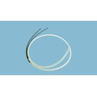 Quality Endoscopy Biopsy Channel for sale
