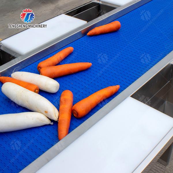 Quality Enhance Your Production with Our State-of-the-Art Fruit And Vegetable Processing for sale