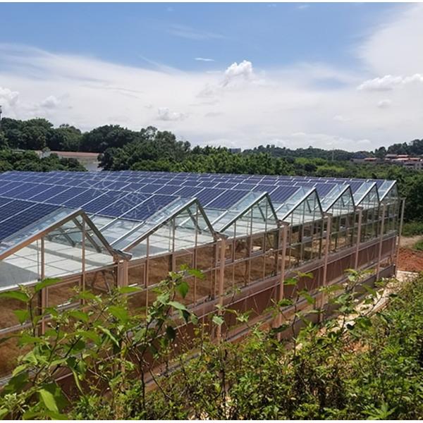 Quality Innovative Single/Multi Span Photovoltaic Commercial Greenhouses for Sustainable for sale