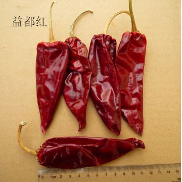 Quality AD Dried Yidu Chilli Round Shape 8000SHU Mild Dried Red Chilies for sale