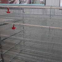 Quality Indoor Farm Quail Breeding Cages 6 Tiers 12 Cell 288 Quails for sale