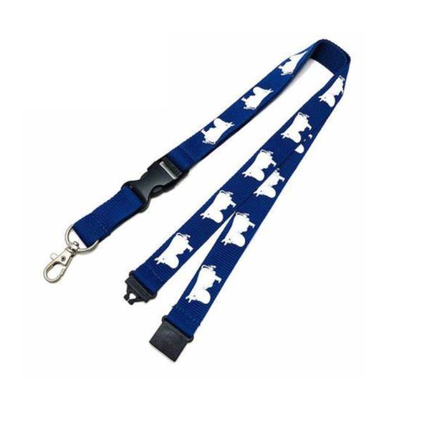 Quality Personalized Breakaway Flat Polyester Lanyard Plastic Woven Pantone Color for sale