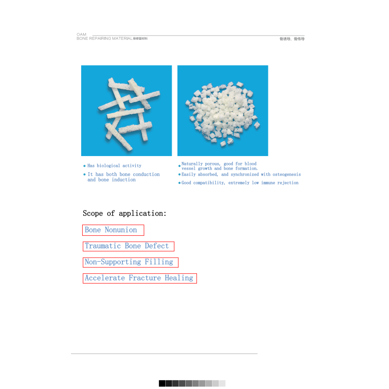2g Bone Dfect Substitute Trauma Spine Osteoinductive Activity Graft