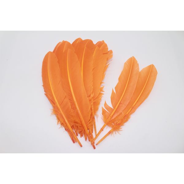 Quality Party Decoration Colored Turkey Feathers Event Supplies 10-12 inch for sale