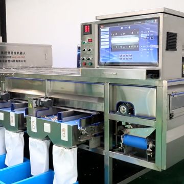 Quality 1 Ton High Capacity Pistachio Nuts Sorting Machine Stainless Steel for sale