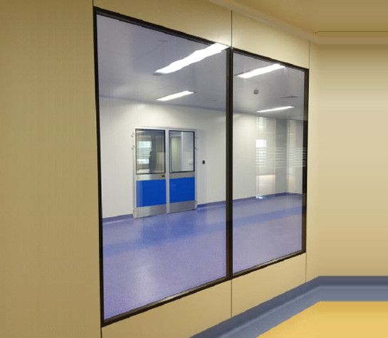 Quality Double Paned Cleanroom Window for sale