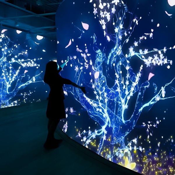 Quality Large 3D Immersive Wall Interactive Wall Projection System For Hotel for sale