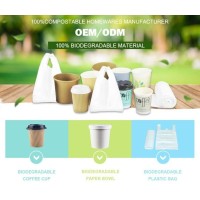 Quality Made From Plants Customized wholesale biodegradable compostable pharmacy bag for sale