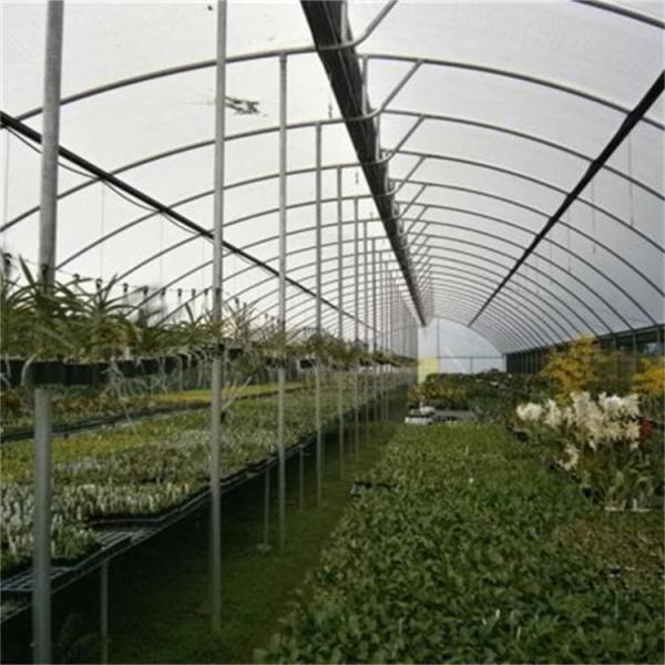 Quality Polyethylene Tunnel 6 Mil Plastic Covering Sawtooth Top Vent Greenhouse for sale