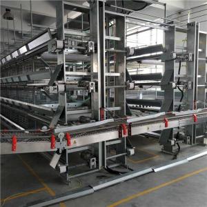 Quality Electrostatic Spray Automatic Egg Collection System Turbine Gear Motor Driven for sale