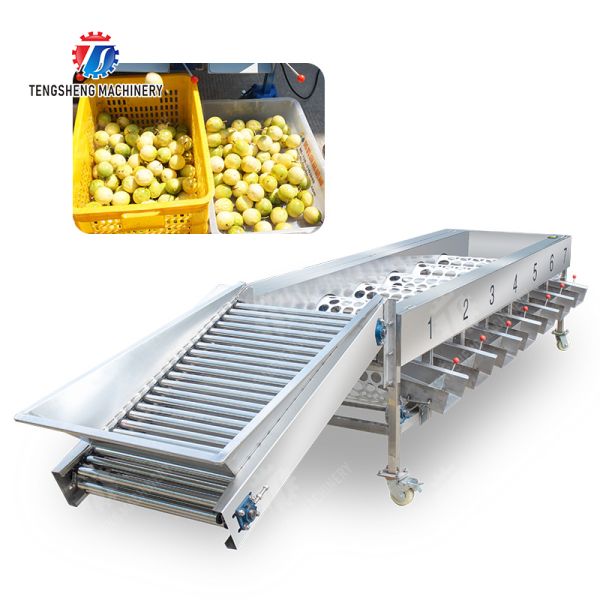 Quality Processing Production Inspecting Grading Fruit Vegetable Onions Saiko persimmon for sale