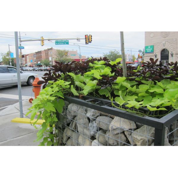 Quality 3.0-6.0mm Galvanized Welded Gabion Box 50x50mm Silver Stone Cage for sale