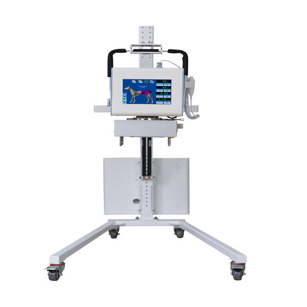 Quality High Frequency Mobile Digital Radiography Machine Digital X Ray Equipment for sale