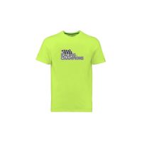 Quality Professional Manufacture Custom Racing Gifts Polo T Shirt with 7 Days Sample for sale