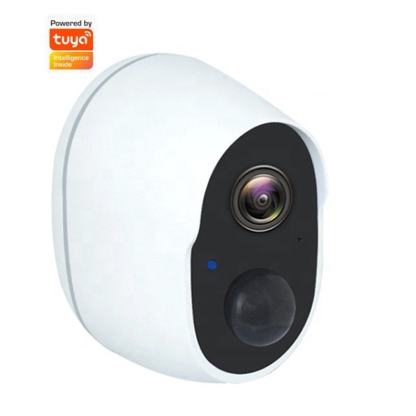 Quality 1920x1080 Tuya Smart Camera 2.0 Mega Pixels Pir Security Camera for sale