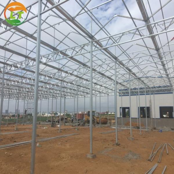 Quality Large Polycarbonate Greenhouse for Vegetable and Flower Cultivation for sale