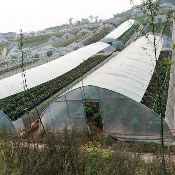 Quality Hydroponic System Tomato Farming Plastic Film Greenhouse 3-5m for sale
