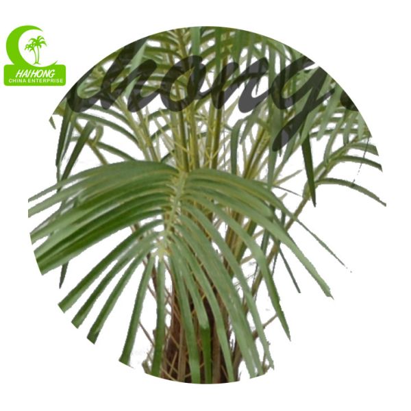 Quality HAIHONG Height 150cm Artificial Phoenix Palm , Artificial Palm Plant Indoor for sale