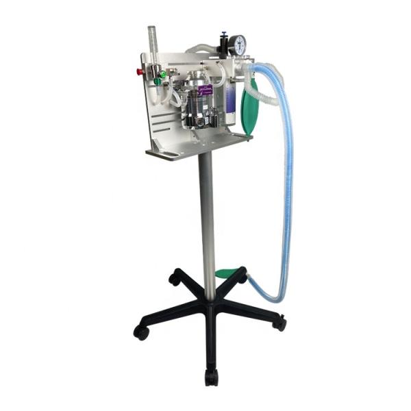 Quality Small Animal Anesthesia Machine Animals Surgery Use Veterinary Supplies for sale