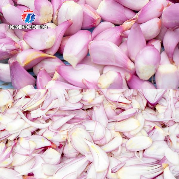 Quality Industrial Garlic Vegetable Processing Machine 0.375KW Automatic Cutting Machine for sale