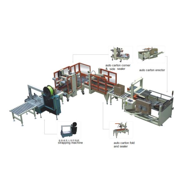 Quality AirTAC Robot Palletizer Machine Automatic 120kg FESTO Stacking for sale