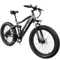 Quality 48V 250W Motor Electric Mountain Bike with 10AH Lithium Battery and Integrated for sale