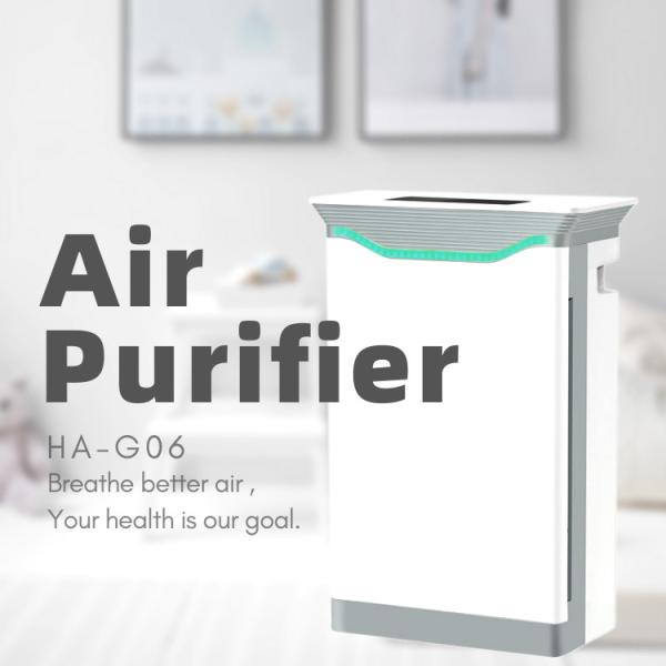 Quality HOMEFISH Negative Ion Household Air Purifier UVC Luftreiniger 220V for sale