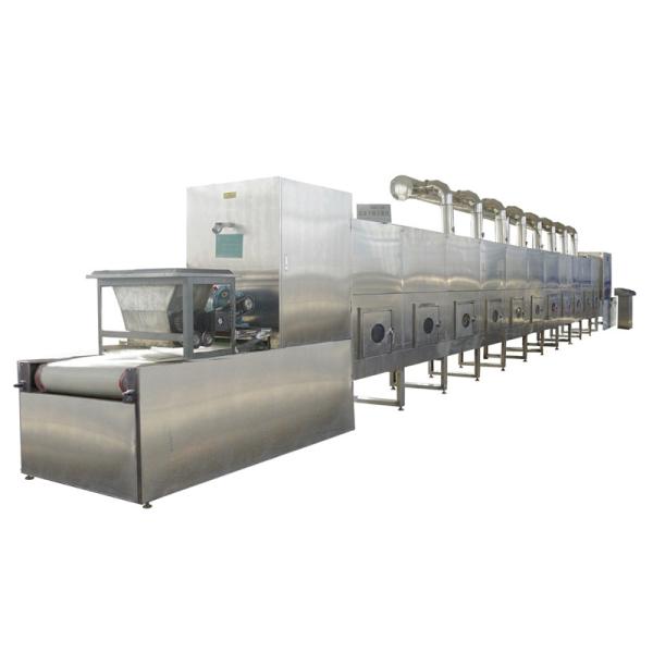 Quality SGS Oatmeal Curing Industrial Microwave Sterilization Machine Drying Equipments for sale