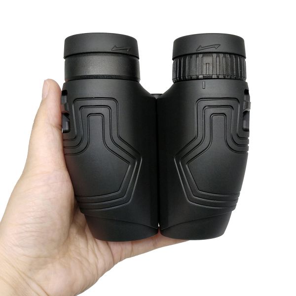 Quality Compact 10x25 Easy Focus Binoculars Low Light Night Vision Clear For Bird for sale