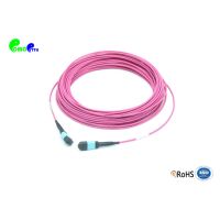 Quality OM4 MTP Male 24F SX 50 / 125μm MTP Trunk Cable With G651 Magenta LSZH Jacket for sale