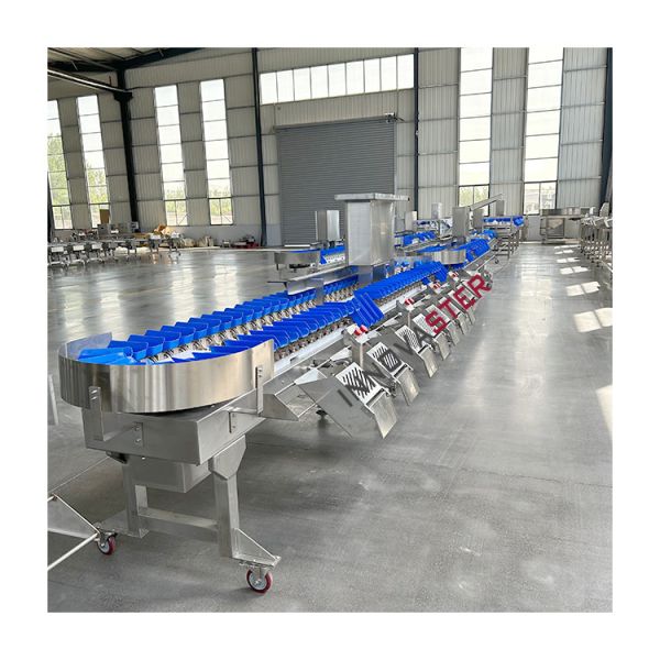 Quality Food Industry Equipment 2500W Automatic Weight Grading Machine for Chicken Feet Paws for sale