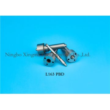 Quality Diesel Engine Delphi Injector Nozzles , Common Rail Injector Nozzle L163PBD for sale