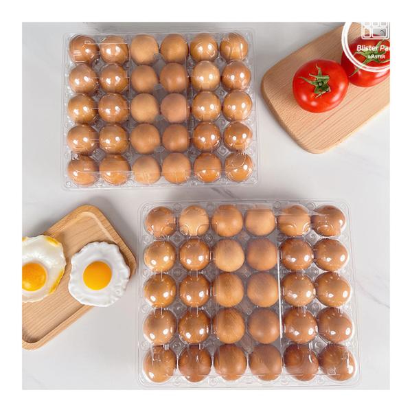 Quality 30 Hole Plastic Egg Tray Packaging Carton By Manufacturers For Secure Egg for sale