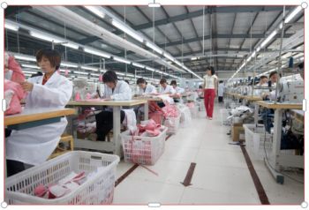 China Factory - Xi\\\'an Zhonggang E-Commerce Co., Ltd.