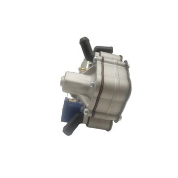 Quality LLANO Silver And Blue LPG Pressure Regulator LPG Reducer for GPL Auto Petrol for sale