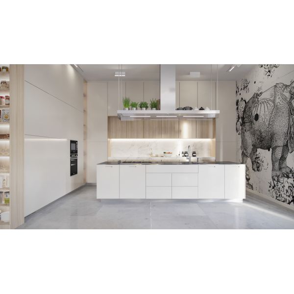 Quality Anti scratch Linear Shape High End White Kitchen Cabinets / White Gloss Kitchen for sale