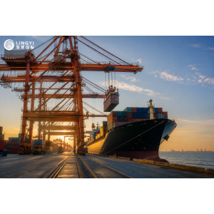 Quality Full Container Load FCL Sea Freight Service from China to Canada with Competitiv for sale