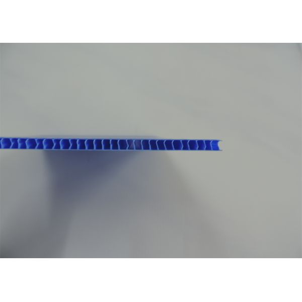 Quality Blue 4x8 Corrugated Plastic Sheets 500gsm Waterproof for sale