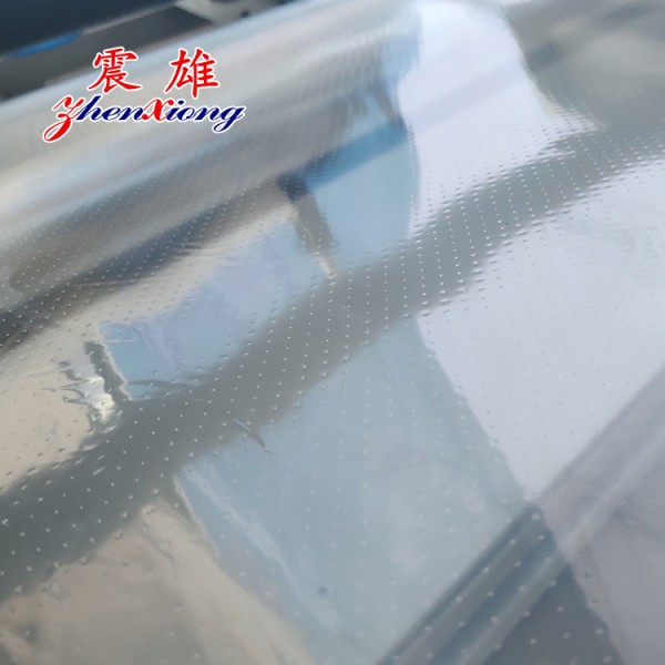 Quality High Precision Automatic Film Punching Machine with PLC Control System for Wide for sale