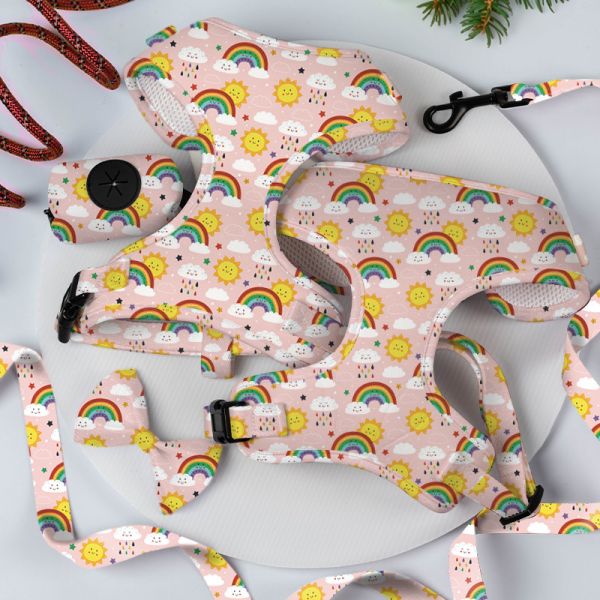 Quality Polyester Dog Leash Harness Set Personalized Dog Collar And Lead Set for sale
