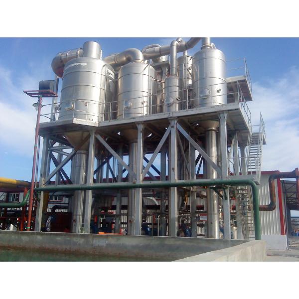Quality Fresh Tomato Medium Fruit Production Line for sale