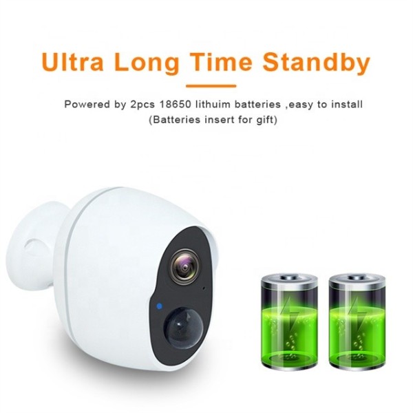 Quality 1920x1080 Tuya Smart Camera 2.0 Mega Pixels Pir Security Camera for sale