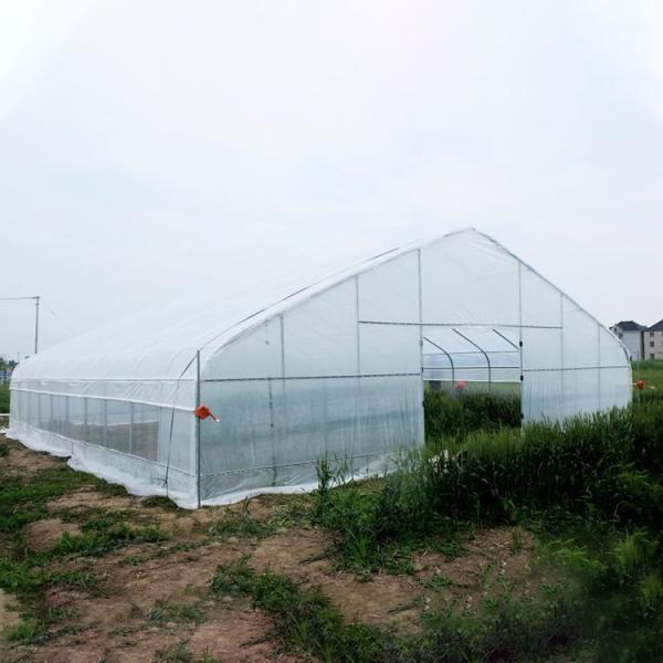 Quality Agricultural PE Film Polyethylene Plastic Sheeting Greenhouse Commercial for sale