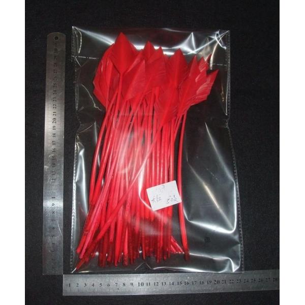 Quality Dyed Arrow Head Striped Turkey Feather Quill with Silk Screen Printing for sale