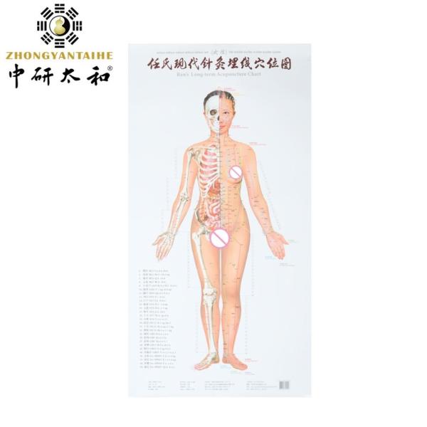 Quality Body Meridian Acupuncture Culture Modern Acupuncture And Embedding Point for sale