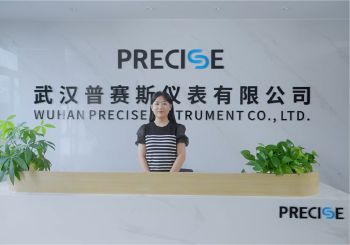 China Factory - Wuhan Precise Instrument Co., Ltd.