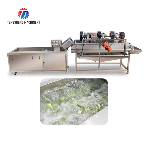 Quality Bubble washing vibration air drying production line Orange Vegetable Herbs Fruit for sale